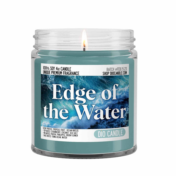 Edge of the Water Candle - Tropical Fruit - Ocean Breeze Scented - Dio ...